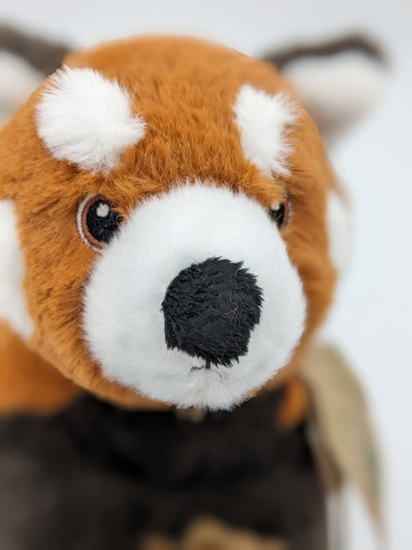 Red Panda - Nigh's Sweet Shop